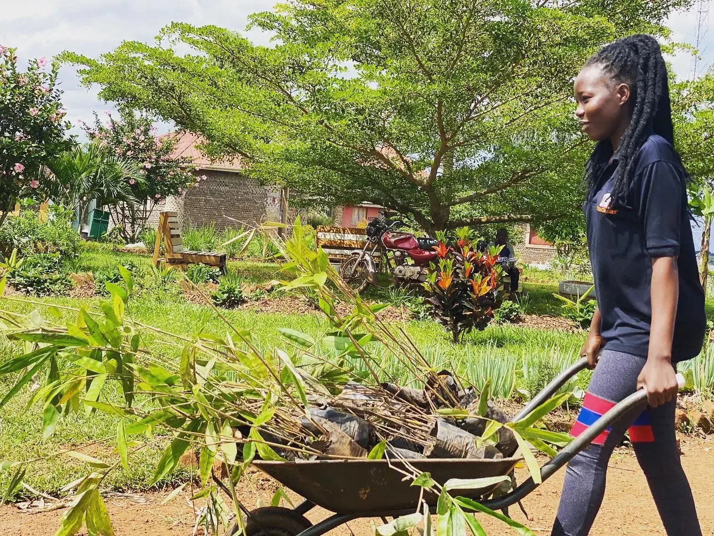 Green shoots in the fight against deforestation in Uganda | AFR100
